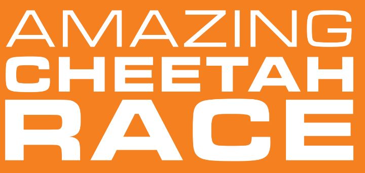 Amazing Cheetah Race coming soon... | Toyota Cheetahs