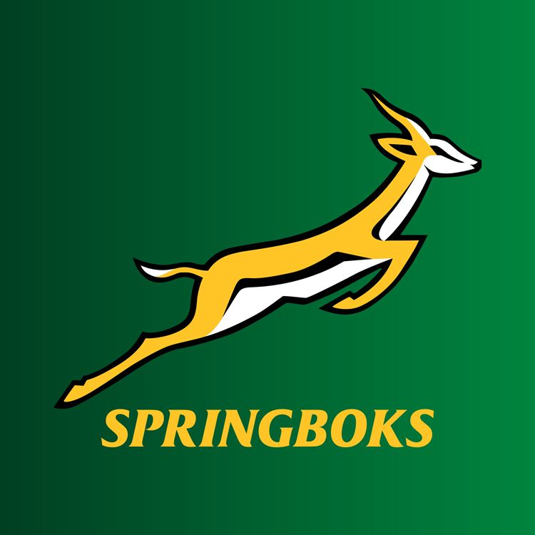 RWC-winning Springboks’ arrival in South Africa | Toyota Cheetahs