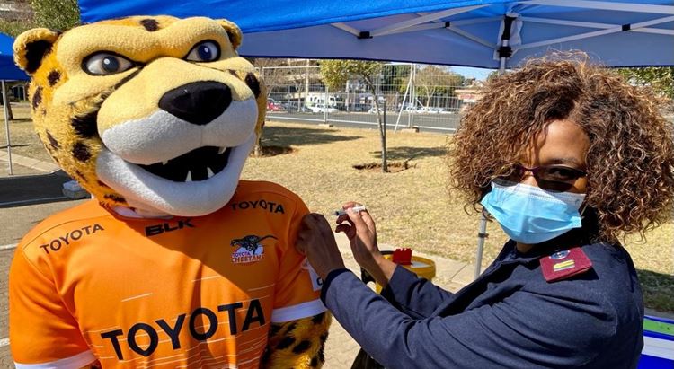 Drive-thru vaccine site in Toyota Stadium | Toyota Cheetahs