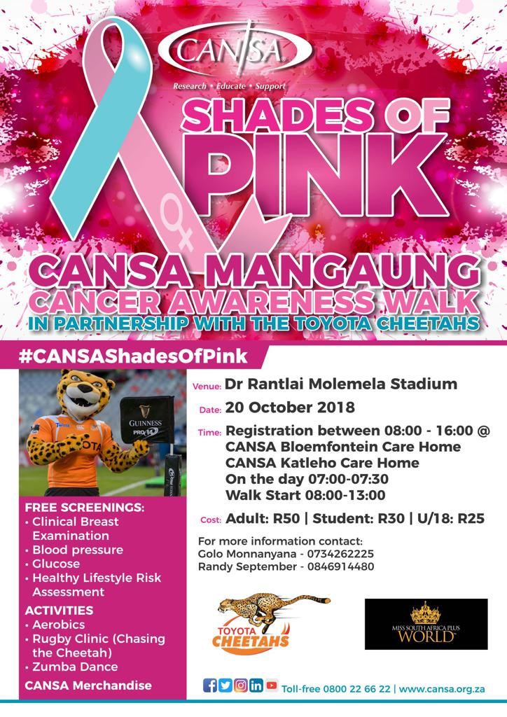 CANSA Mangaung cancer awareness walk with the Toyota Cheetahs | Toyota ...