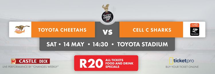 RUGBY FESTIVAL IN TOYOTA STADIUM | Toyota Cheetahs