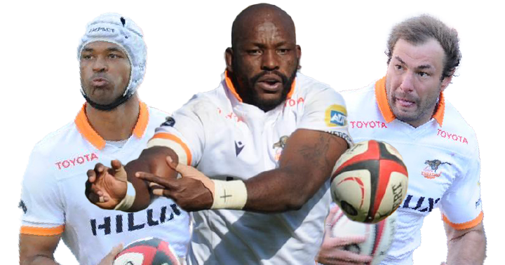 Home | Toyota Cheetahs