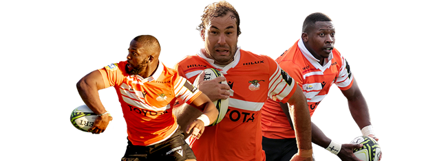 Stadium | Toyota Cheetahs