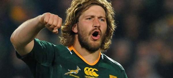 Frans Steyn released from Springbok camp | Toyota Cheetahs